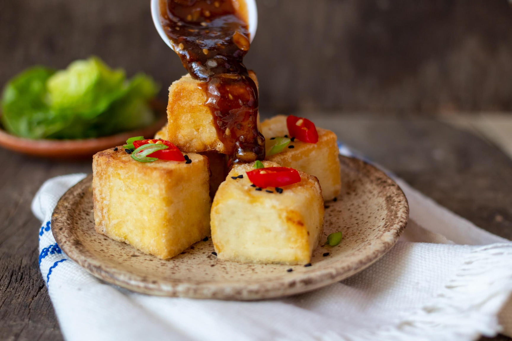 Crispy Tofu with Homemade 5-Spice Sauce
