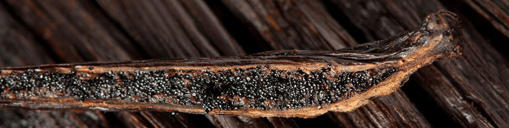 History, Growing Regions, and Cultivation of Vanilla Beans - Slofoodgroup