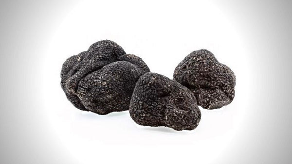 What Are Australian Black Winter Truffles? - Slofoodgroup