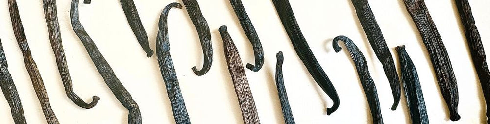 What Are The Different Kinds Of Vanilla Beans - Slofoodgroup